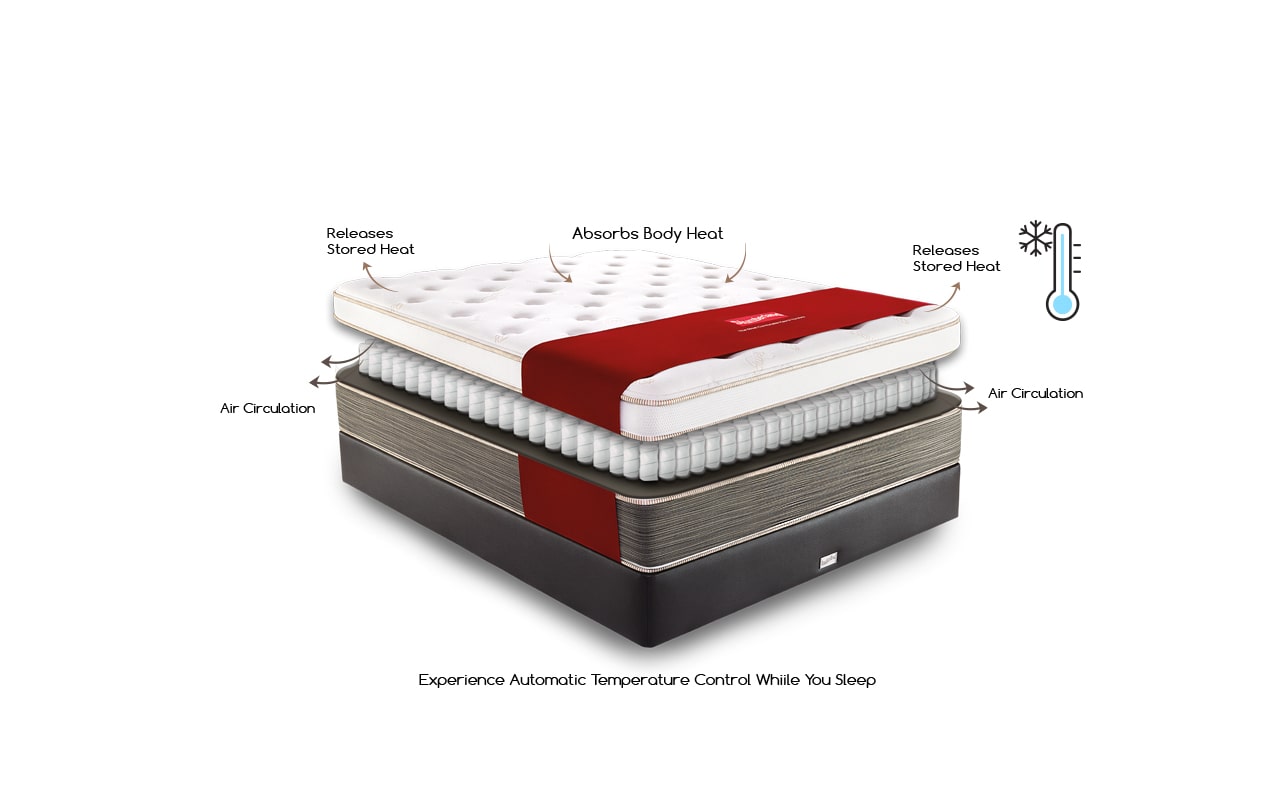 Slumberland – Sleeping Experience Since 1919